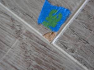 Delamination - Floor Detective